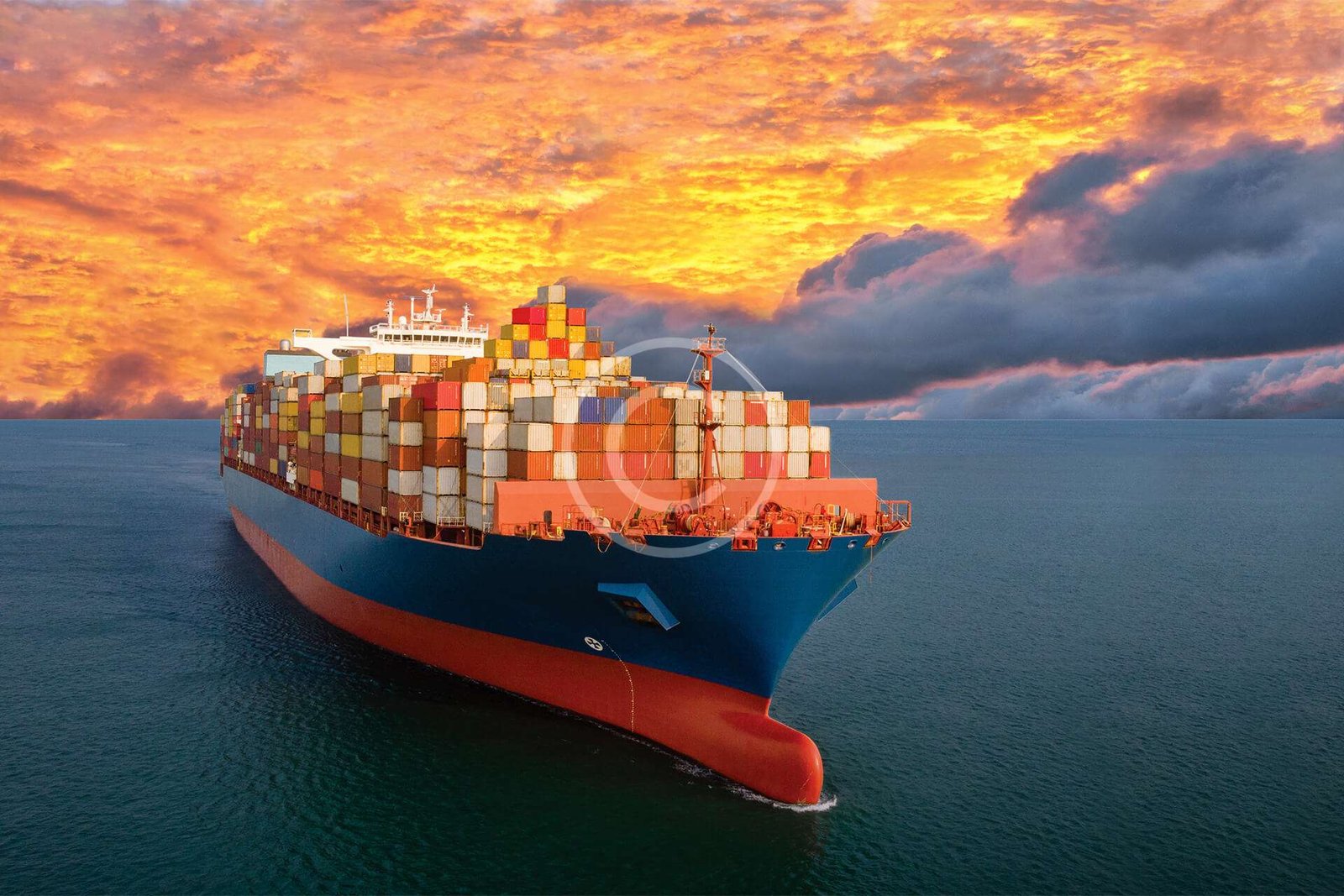 How to Check the Reliability of the Cargo Carrier – Gulf Line Transport